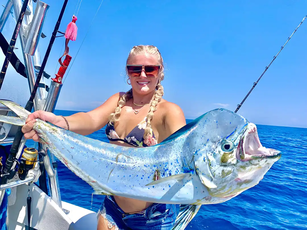Mahi and sharks - Sep 23, 2024 - Fired Up Fishing Charters